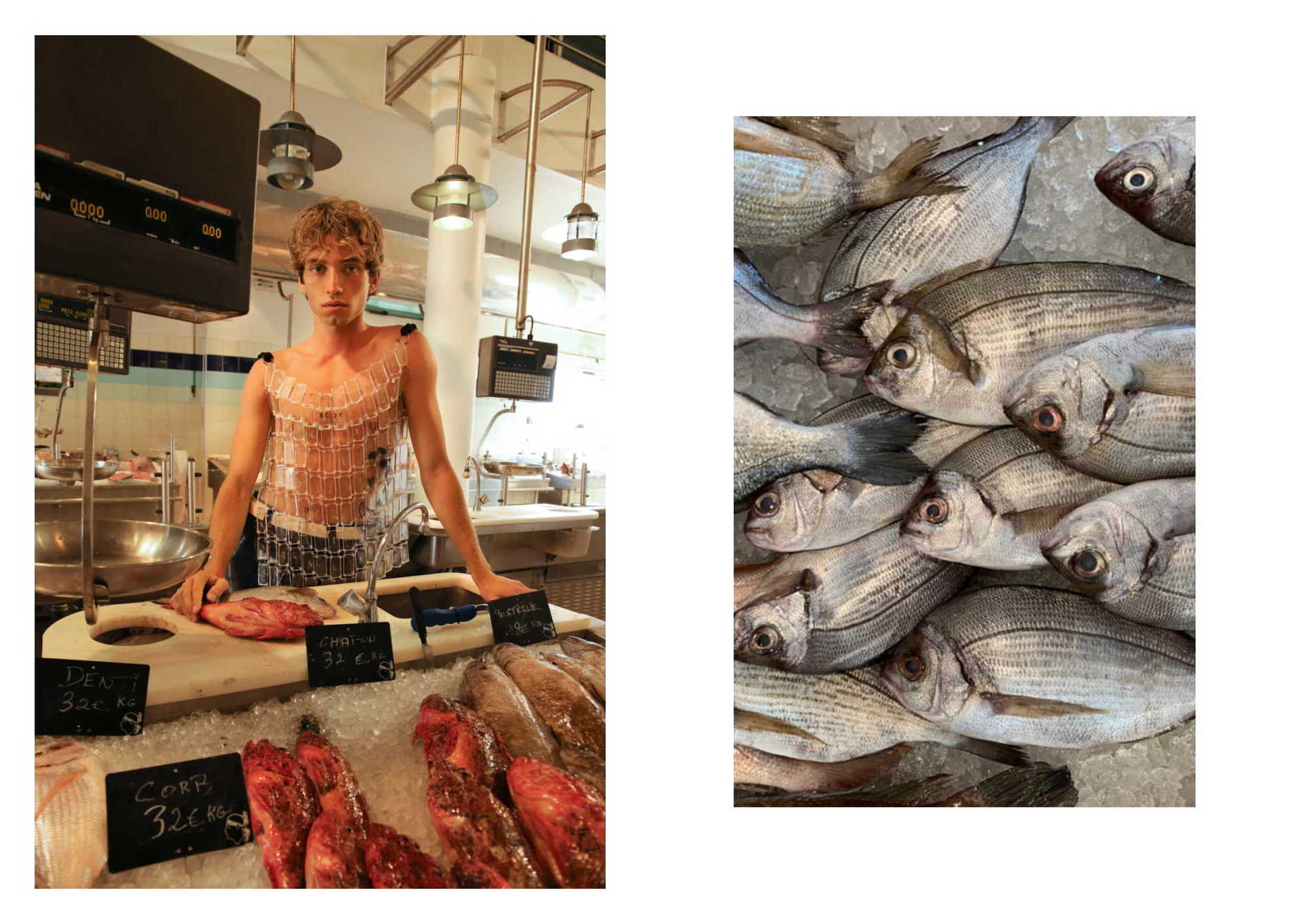 For Cod's Hake! - PANSY - PANSY