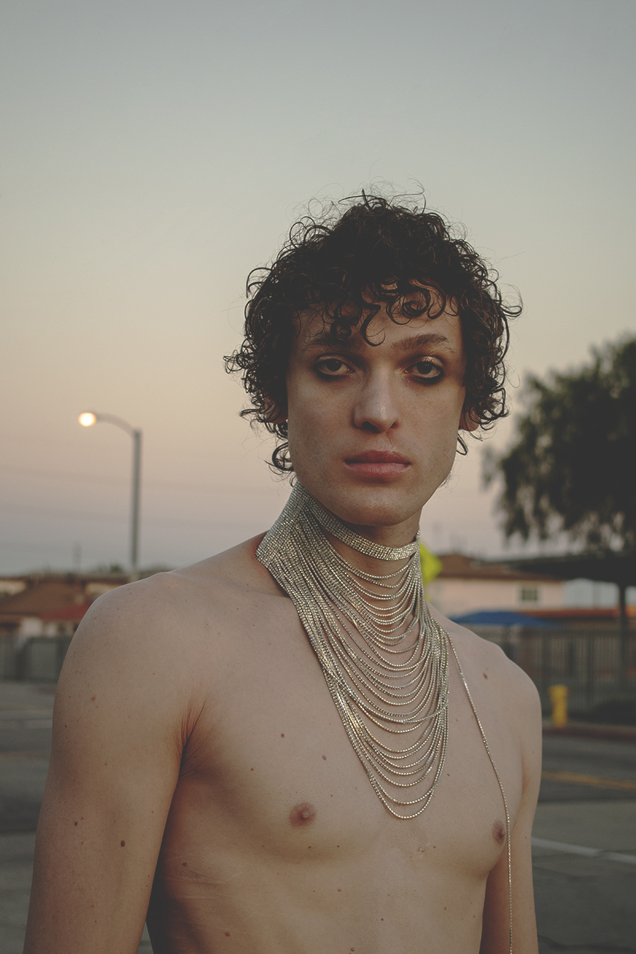 Birds of Paradise - PANSY - PANSY