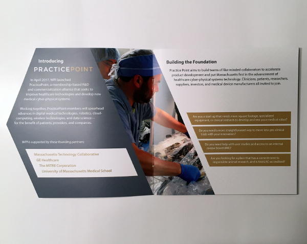 Practice Point Brochure - Michael Aiello Design