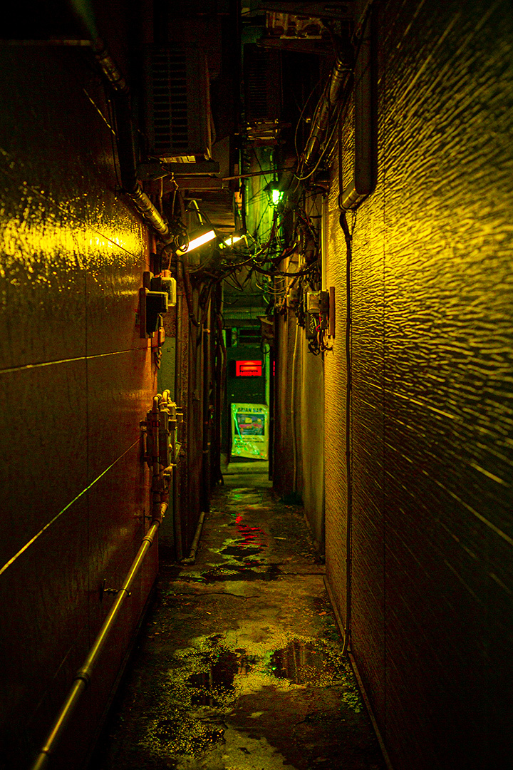 NEO TŌKYŌ /// ネオ東京 - Benoit Perreault - Benoit Perreault