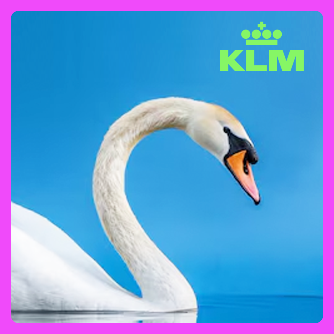 On Tour - Ramon Tiernagan