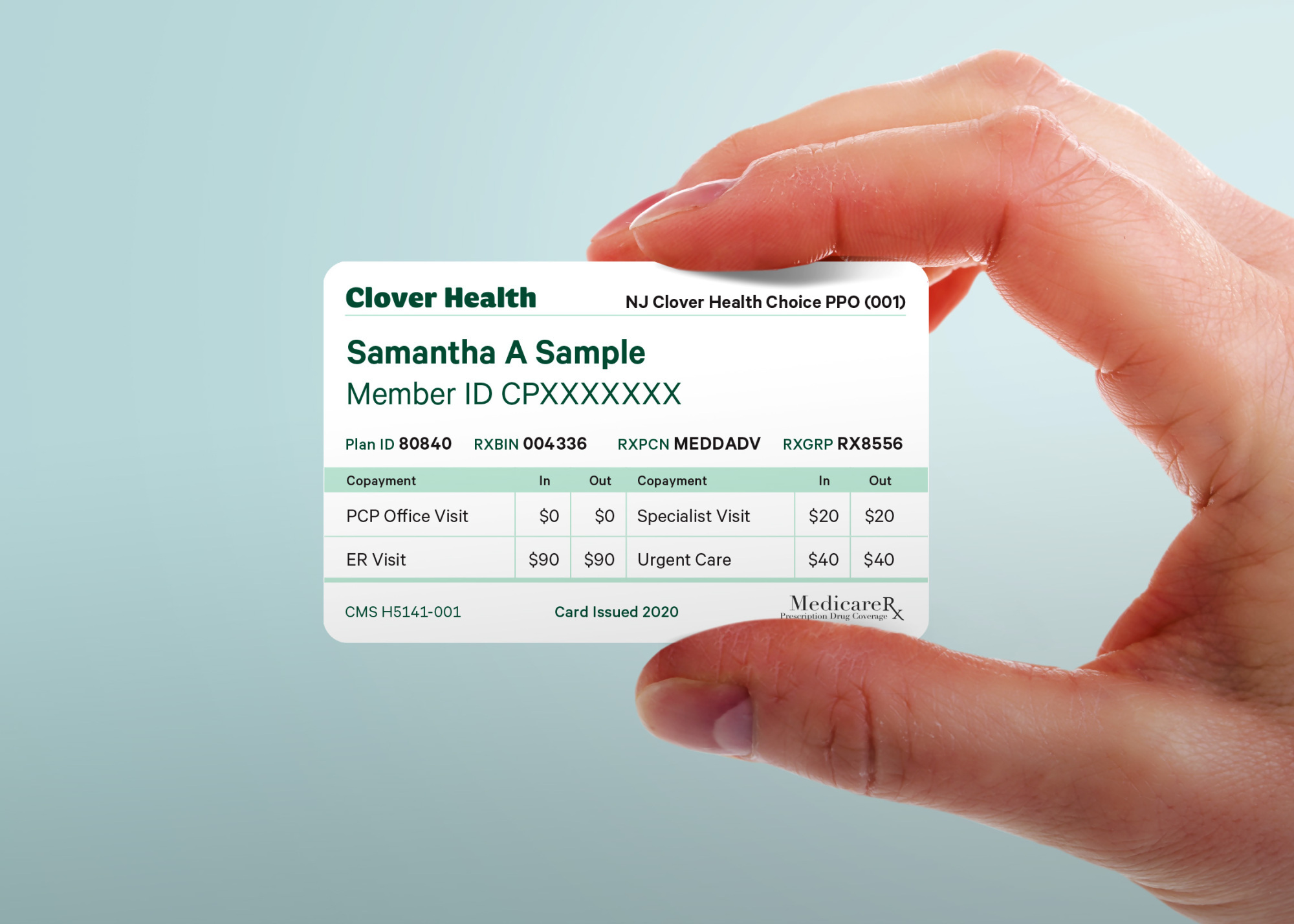 Case Study: Clover Enrollment Campaign - Mara Coombes Portfolio