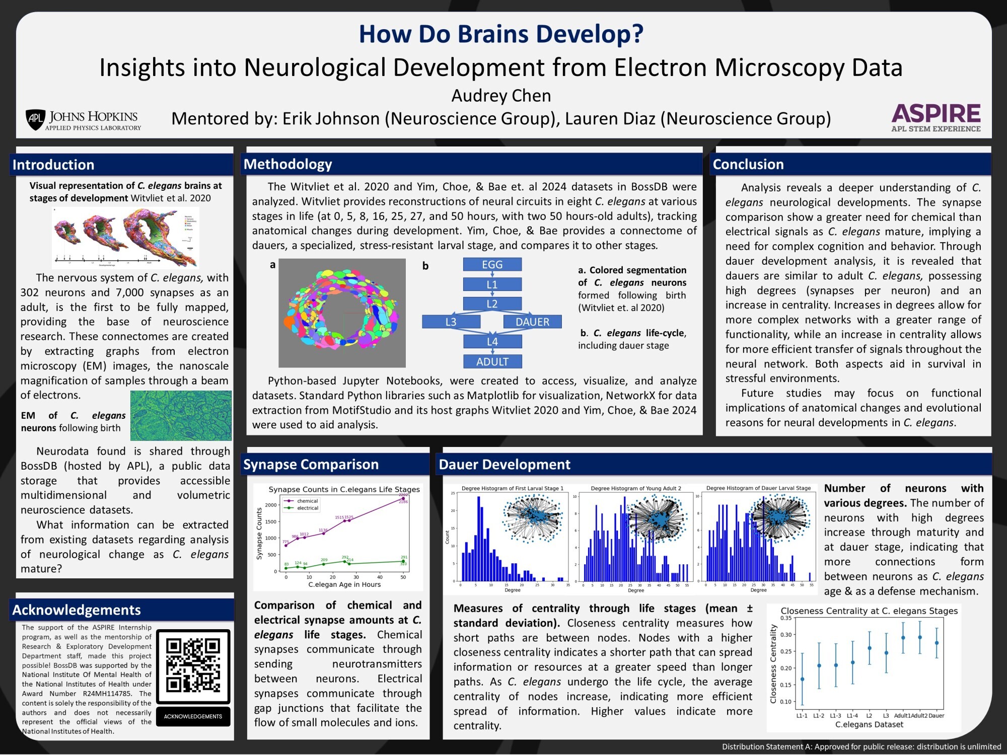 How Do Brains Develop? Insights into Neurological Development from ...