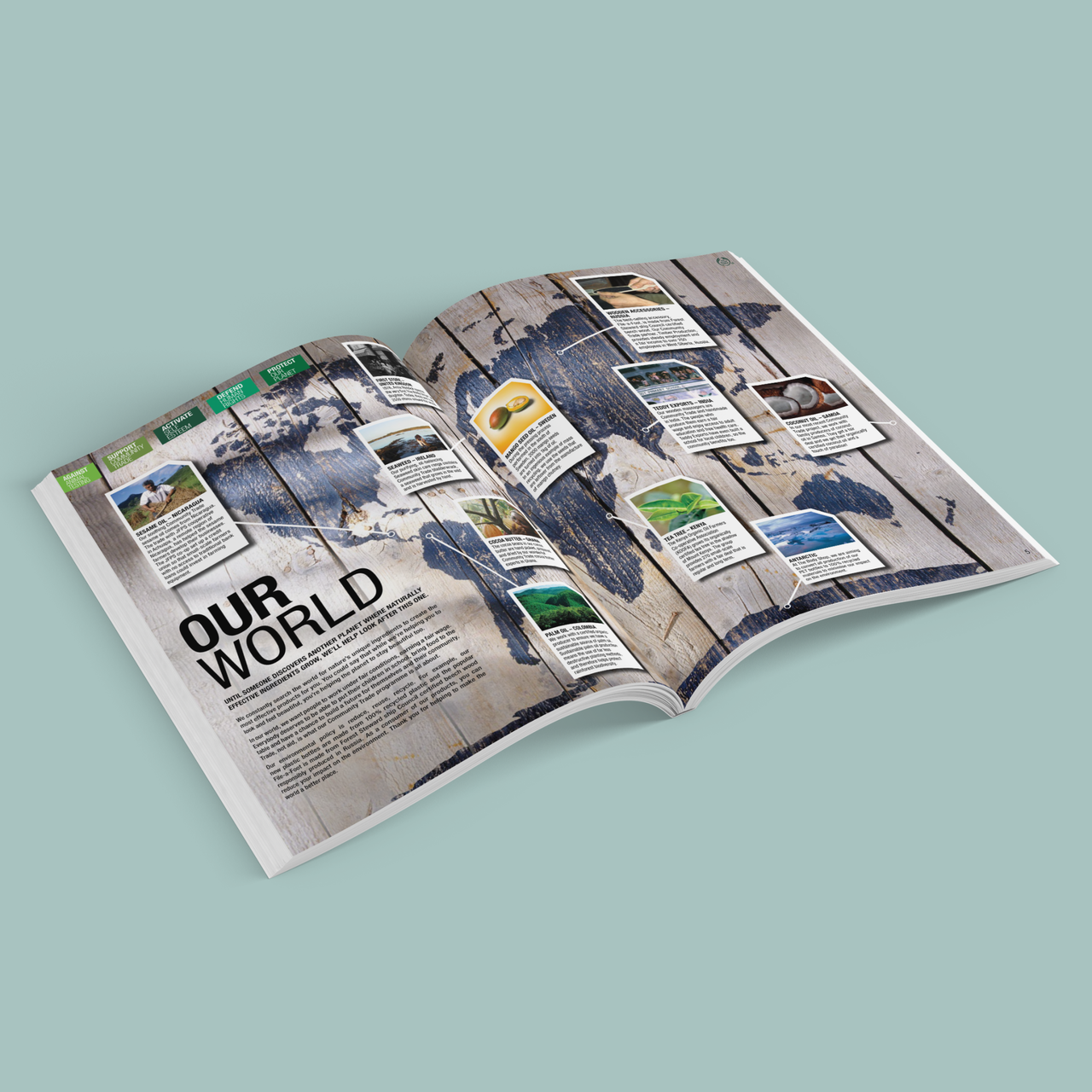 Brochure Design – The Body Shop - Steven Bannister: Graphic Designer ...
