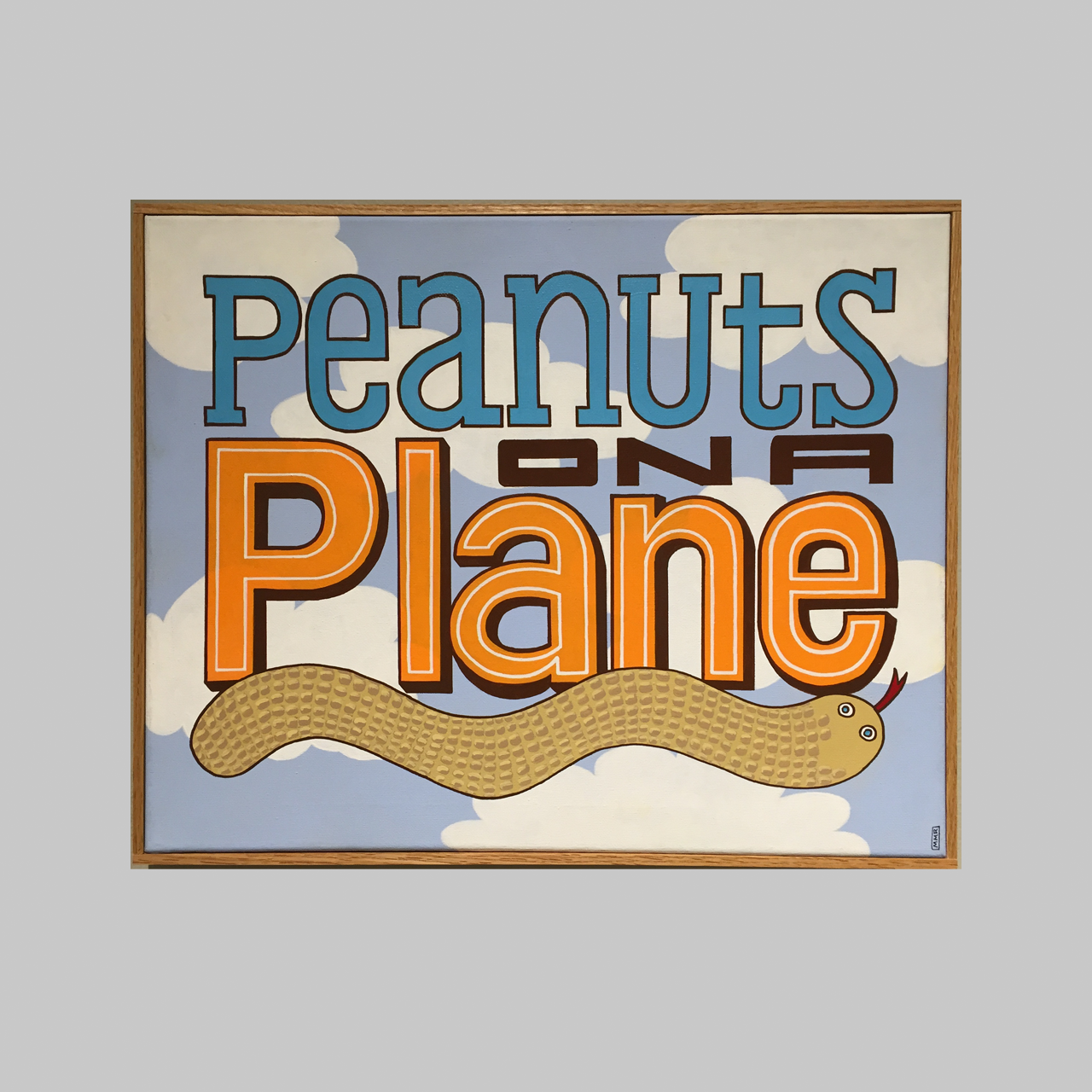 Peanuts on a Plane - melanie rodgers