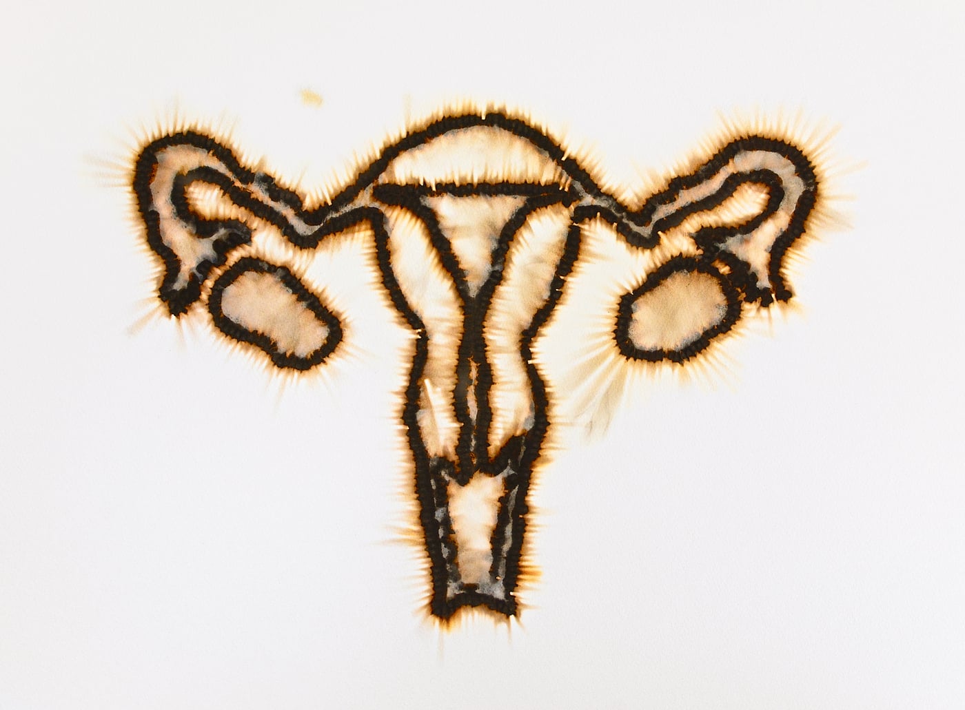 Burn Drawings - Melissa Vandenberg