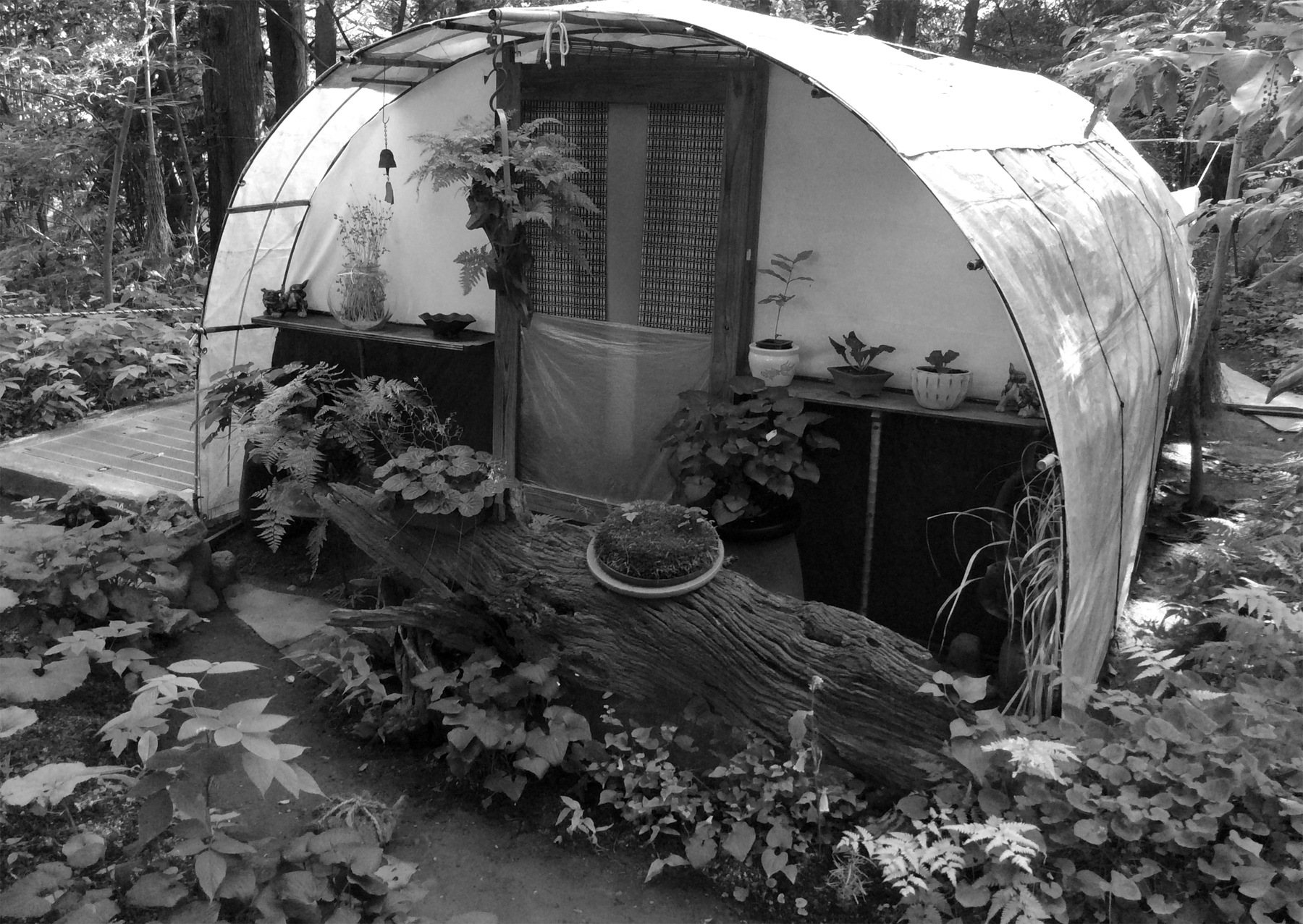 Yoyogi-kōen - pierre&barbara