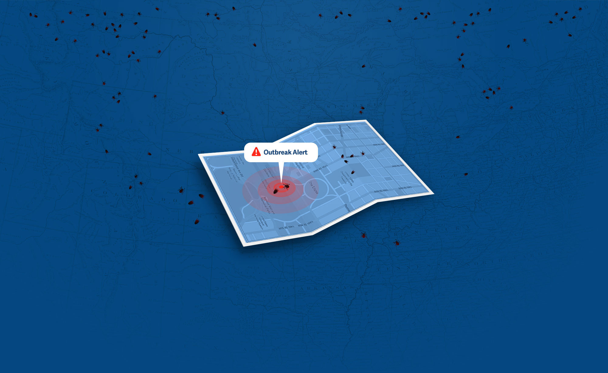 Adams - Bryan Medway